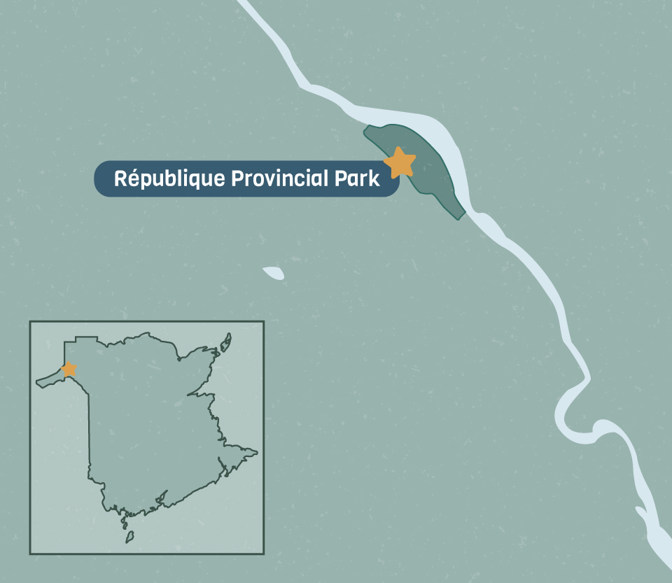 République Provincial Park | Parks | Explore New Brunswick's Provincial ...